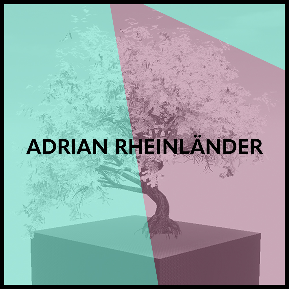 ADRIAN RHEINLÄNDER – AURORA School for ARtists